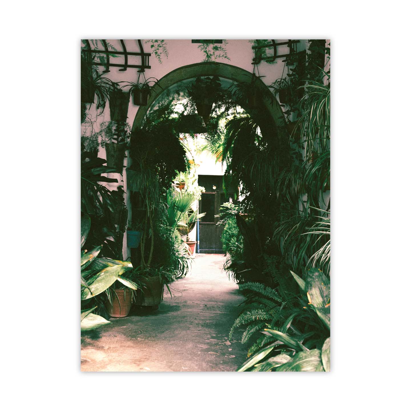 Blumen Gang – Postertex GmbH