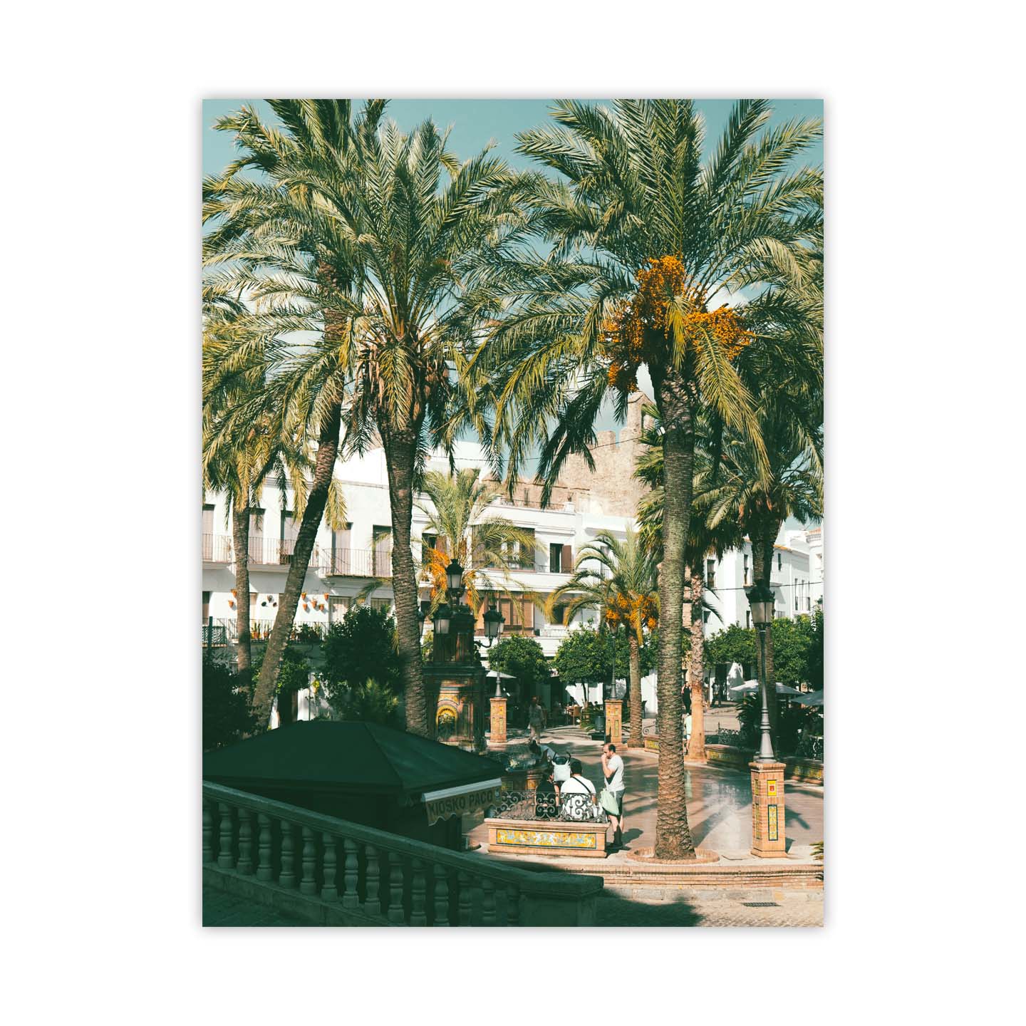 Palmen Platz – Postertex GmbH