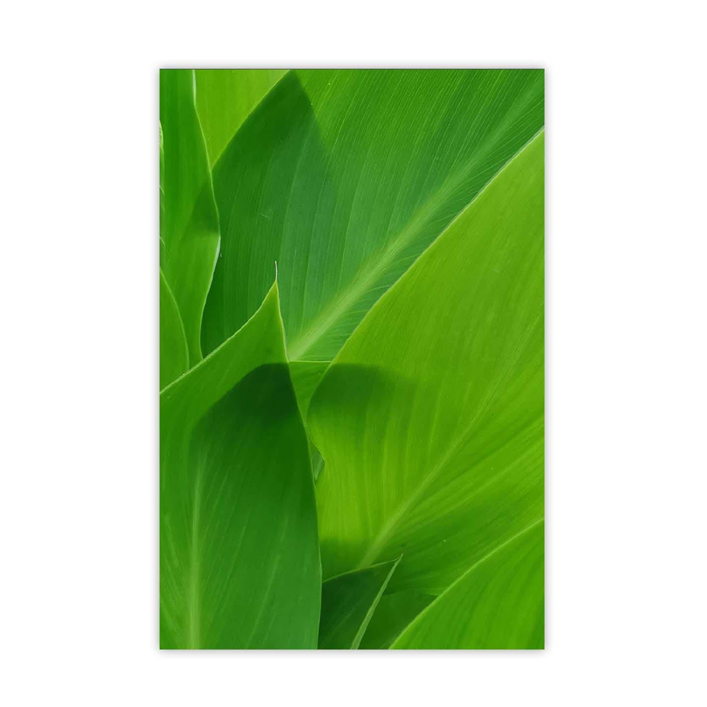 Grün – Postertex GmbH