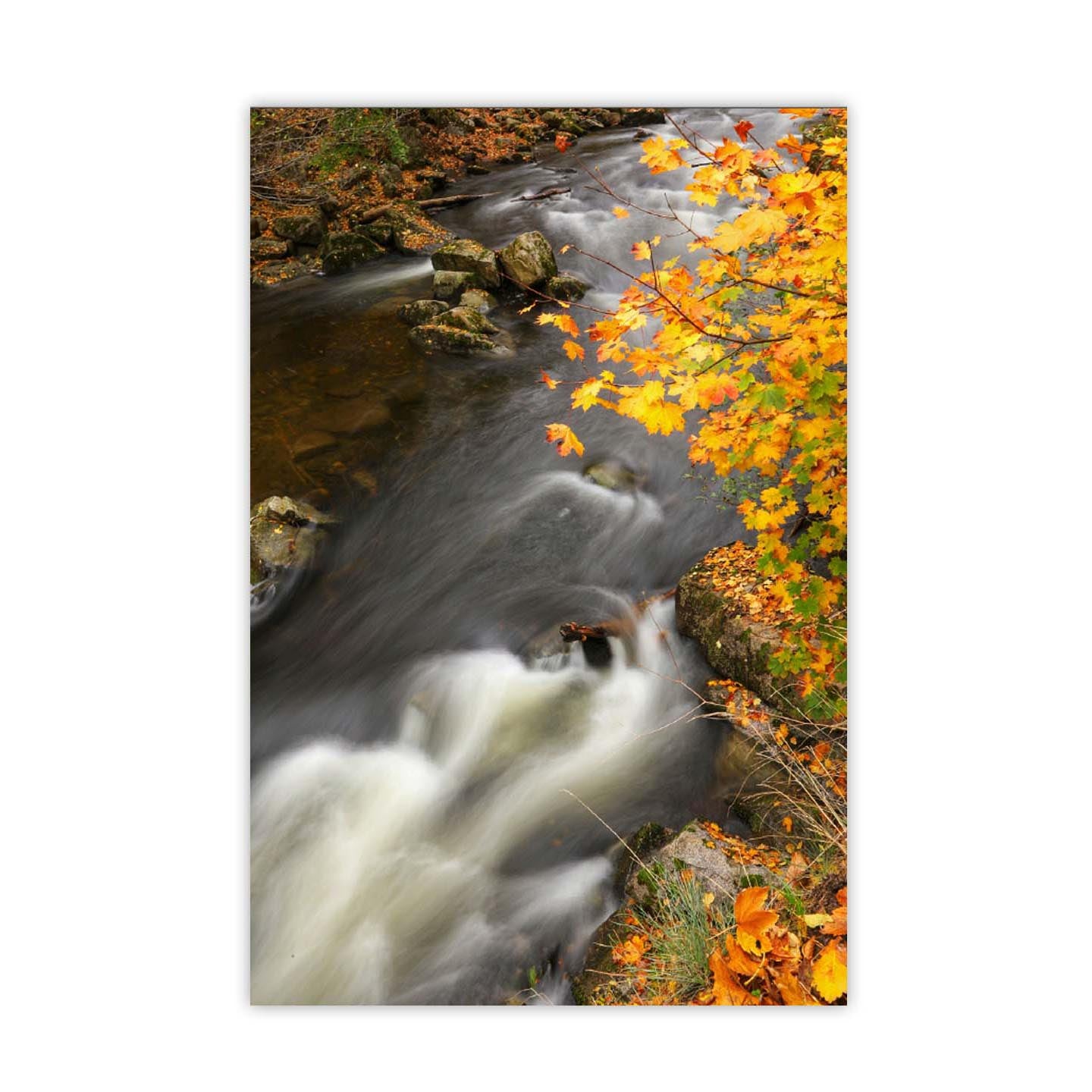 Herbst – Postertex GmbH