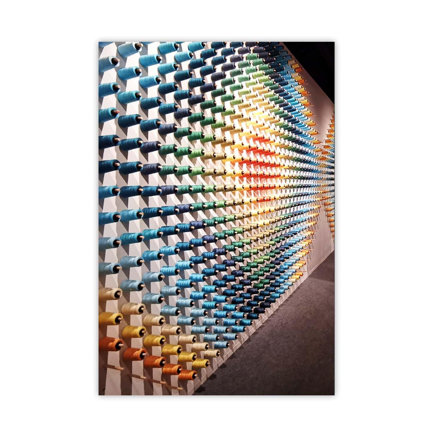 Tropischer Fisch – Postertex GmbH